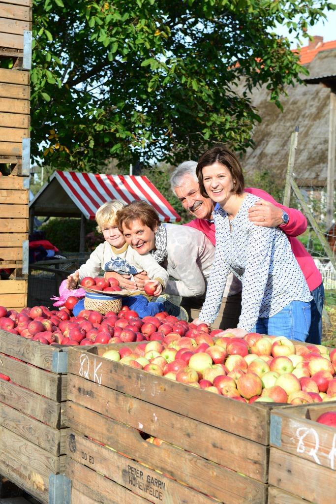 Apfelfest Im Alten Land
